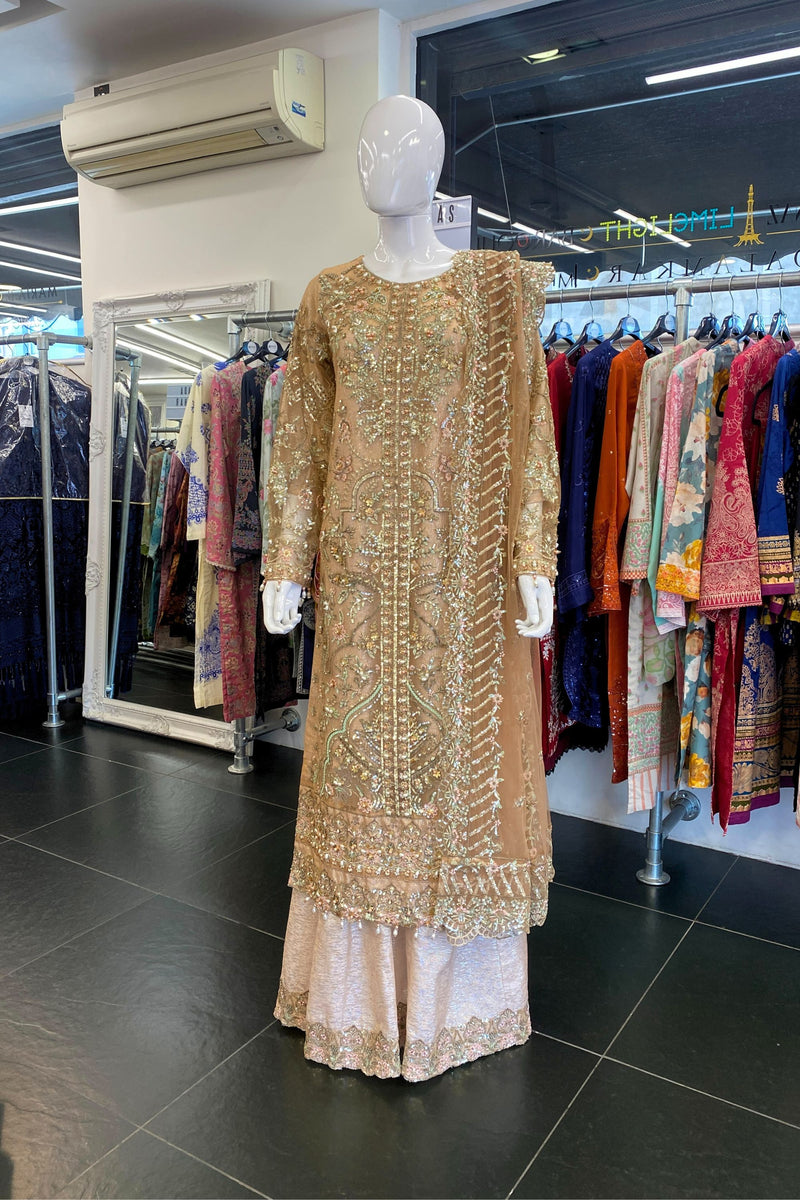 Areej Embellished Net Pakistani Wedding Wear ARJ02