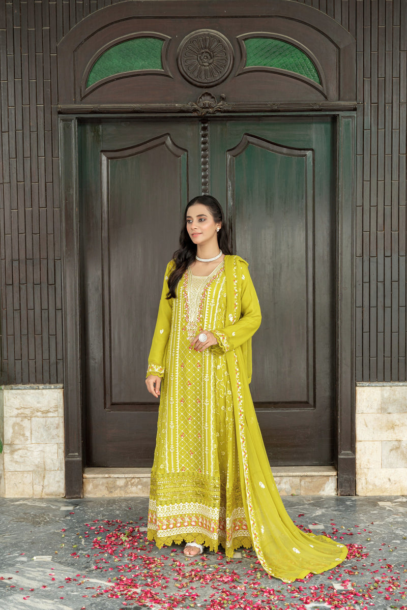 Embellished Chiffon Pakistani Eid Dress SEL02