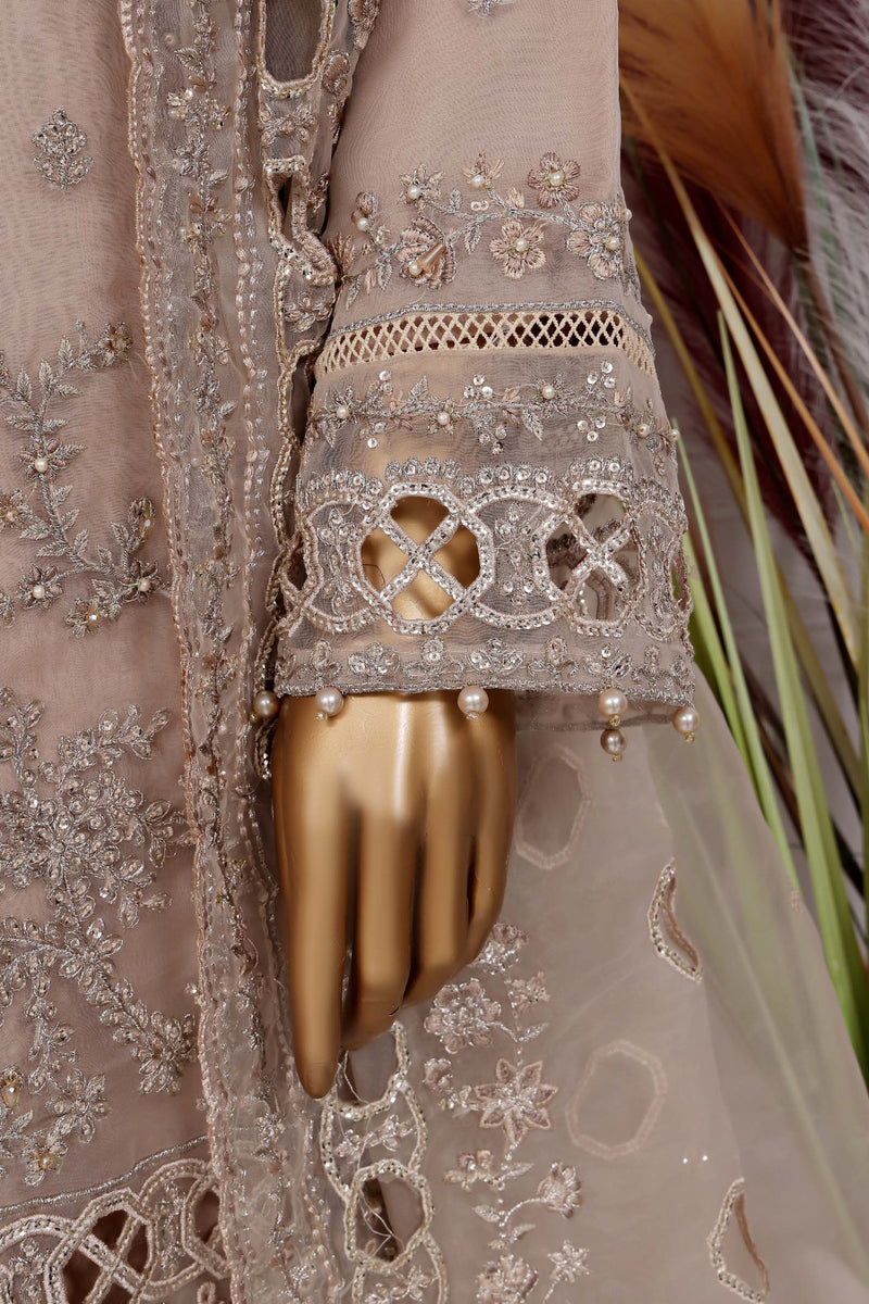 Sada Bahar Embellished Organza Pakistani Party Wear SBA204